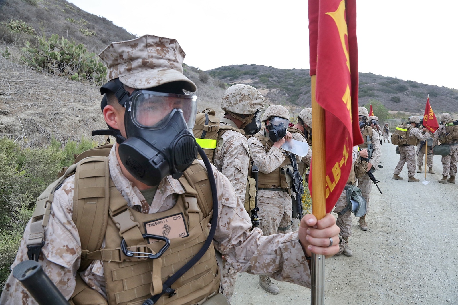 Combat Logistics Battalion 15