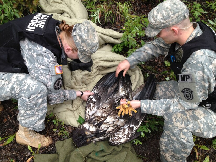 MCA program protects base members, wildlife > Joint Base Elmendorf ...