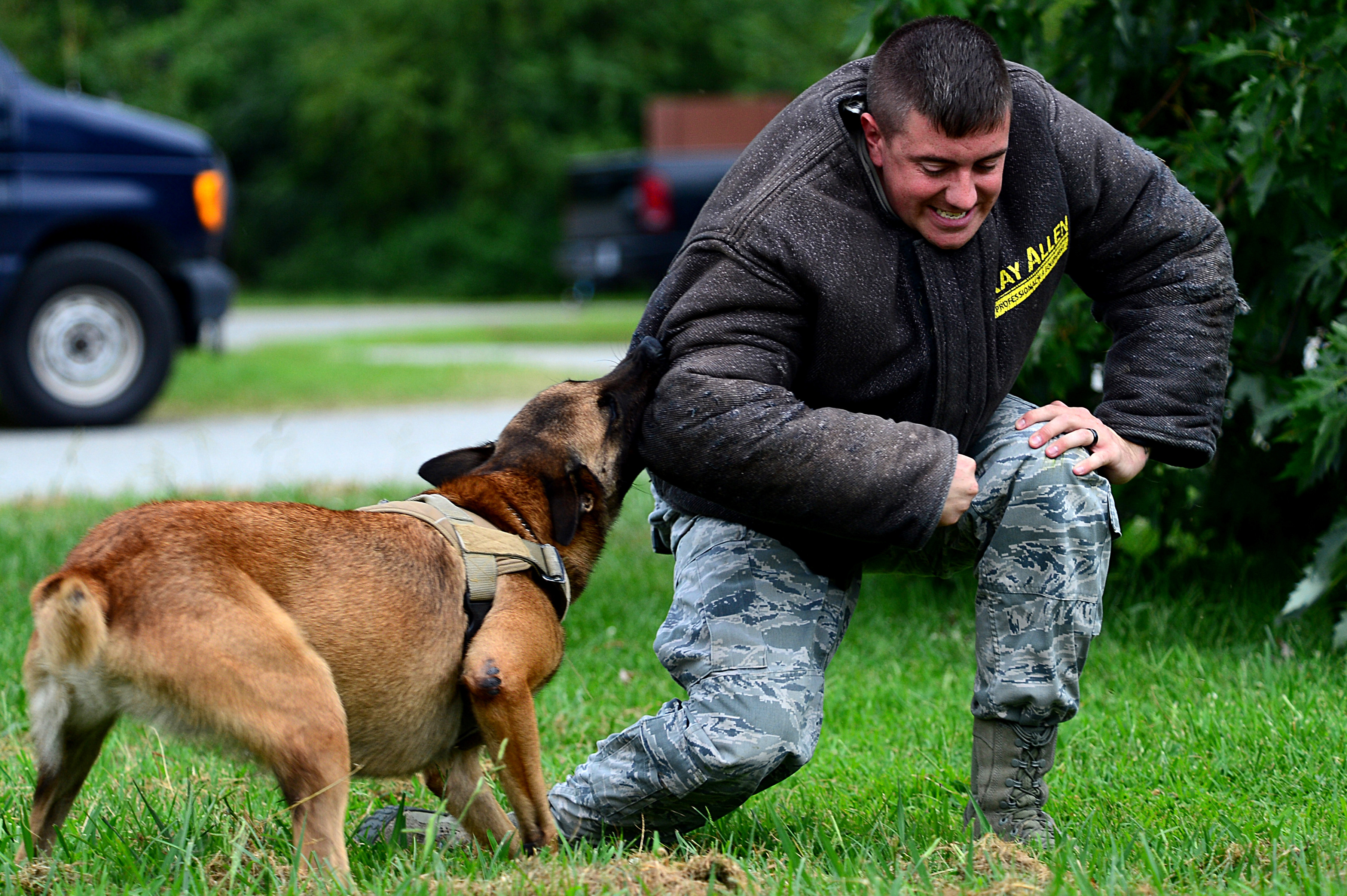 Air Force MWD team saves the lives of Army Soldiers, nominated for ...