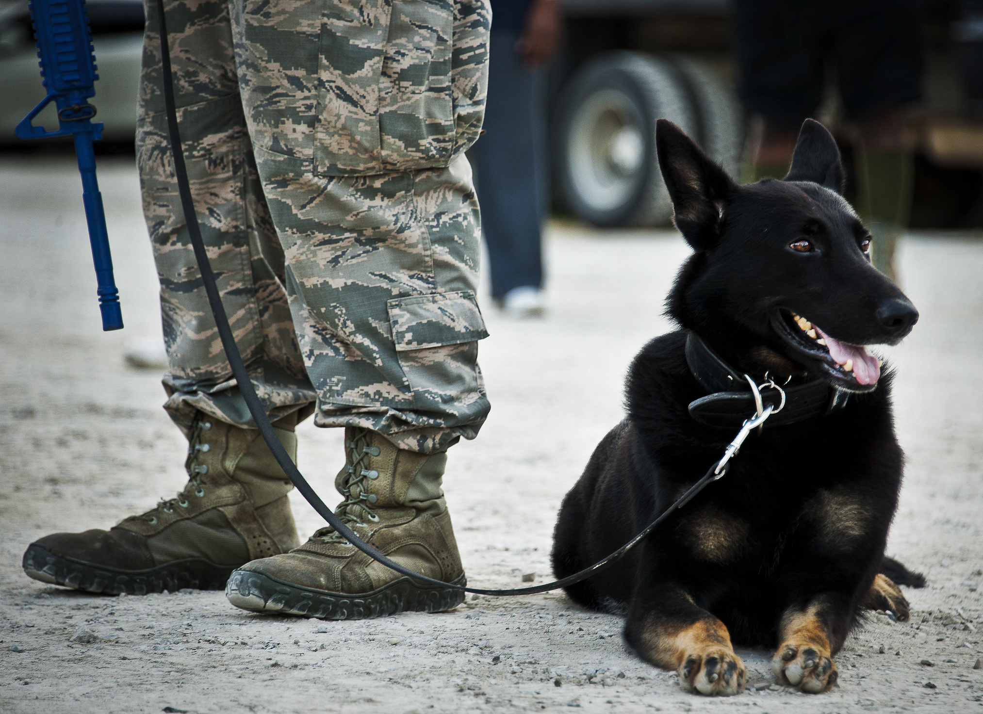 Team Eglin honors fallen defenders with ruck march > Eglin Air Force ...