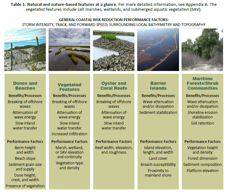 Coastal Risk Reduction and Resilience: Using the Full Array of Measures ...
