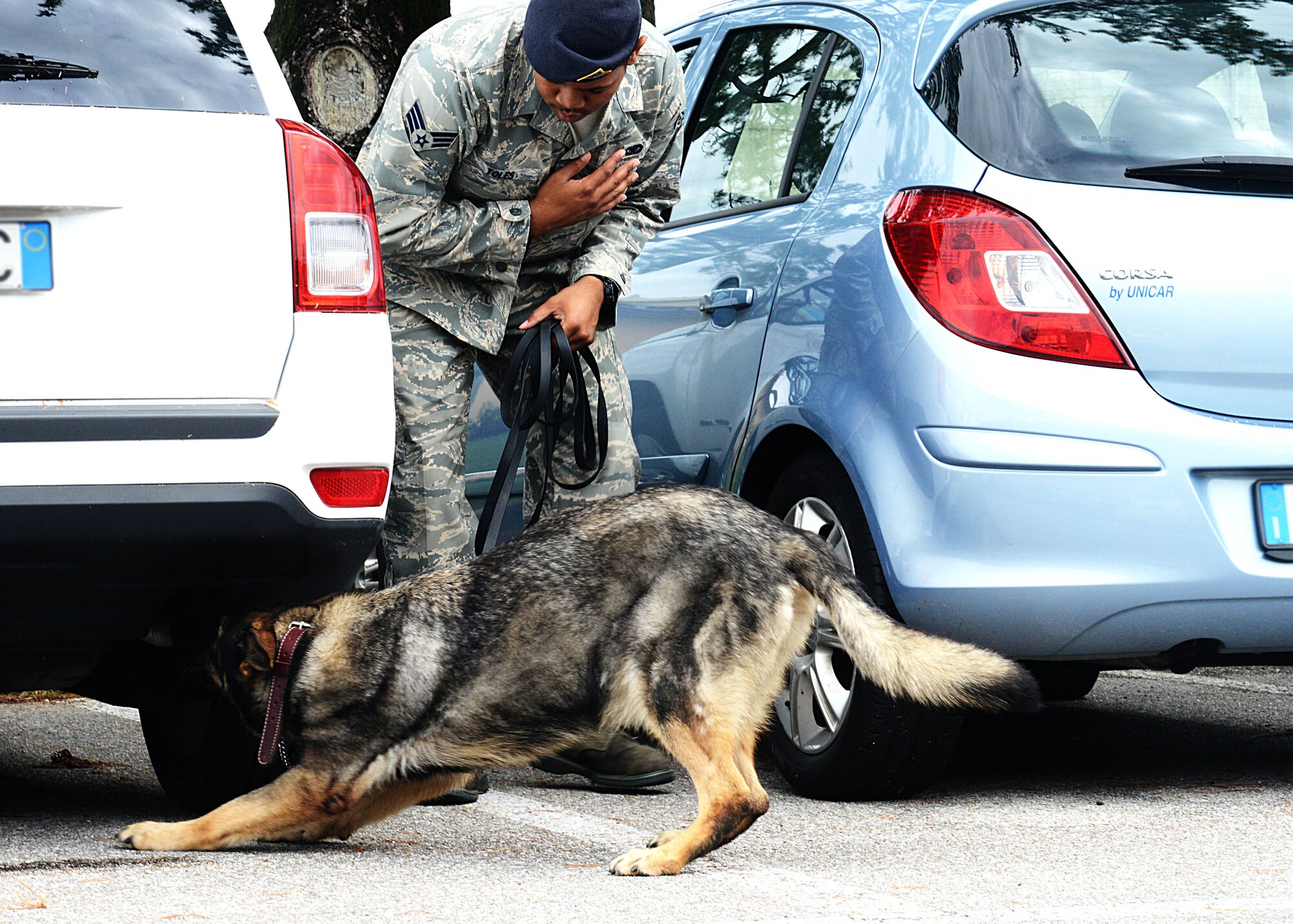 Return of a Warrior > Aviano Air Base > Display