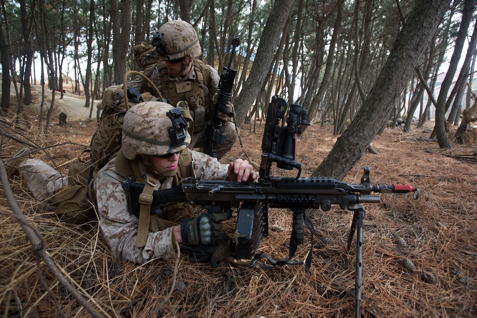 3d MEB integrates 31st MEU for forcible entry in Korea > United States ...