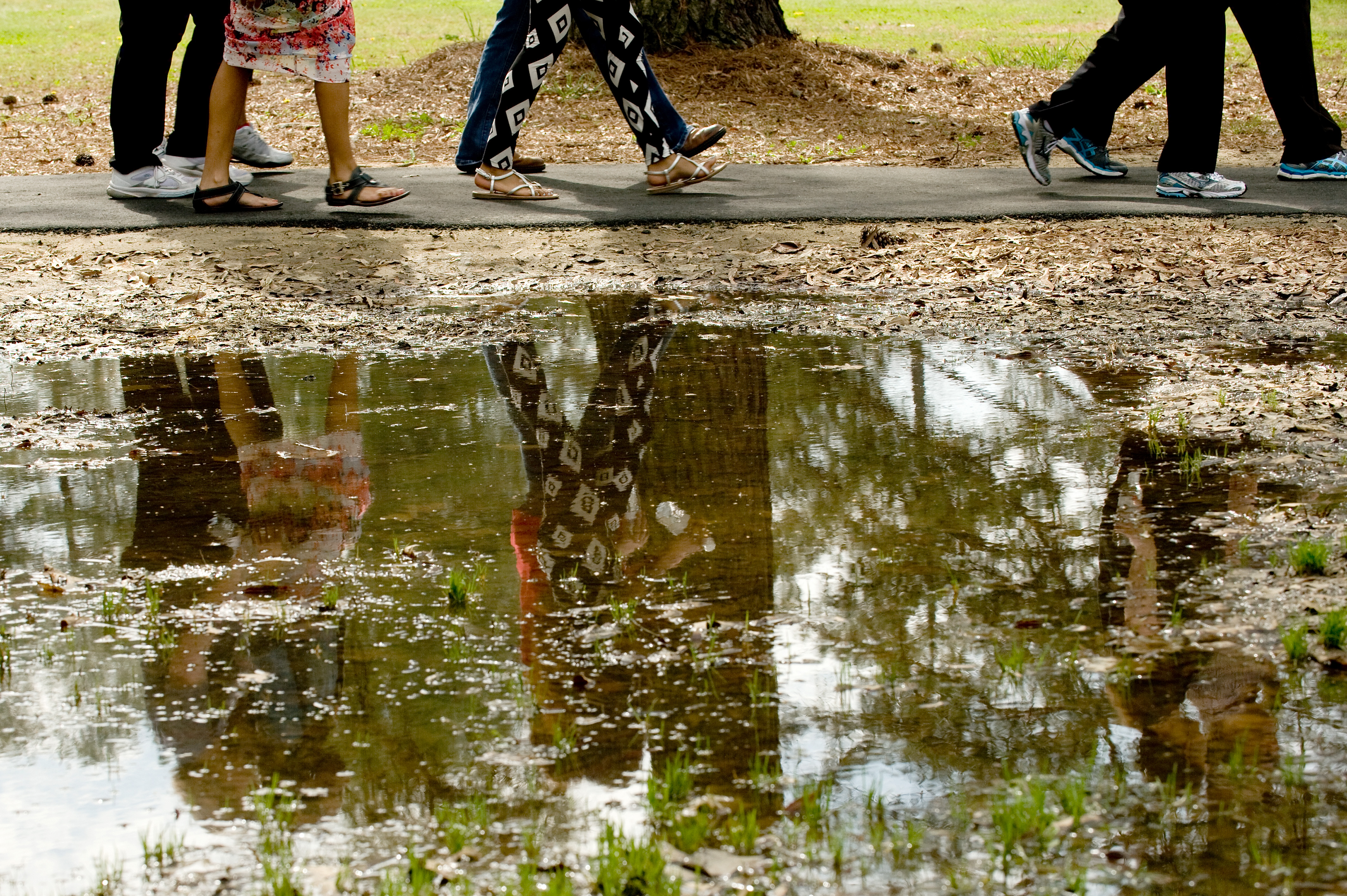 PHOTOS: National Walk to Work Day: Taking the journey toward healthy ...