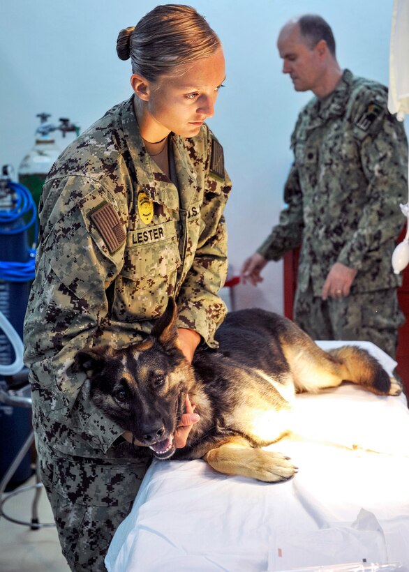 U.S. Navy Petty Officer 3rd Class Ashly Lester holds Leska, a military ...