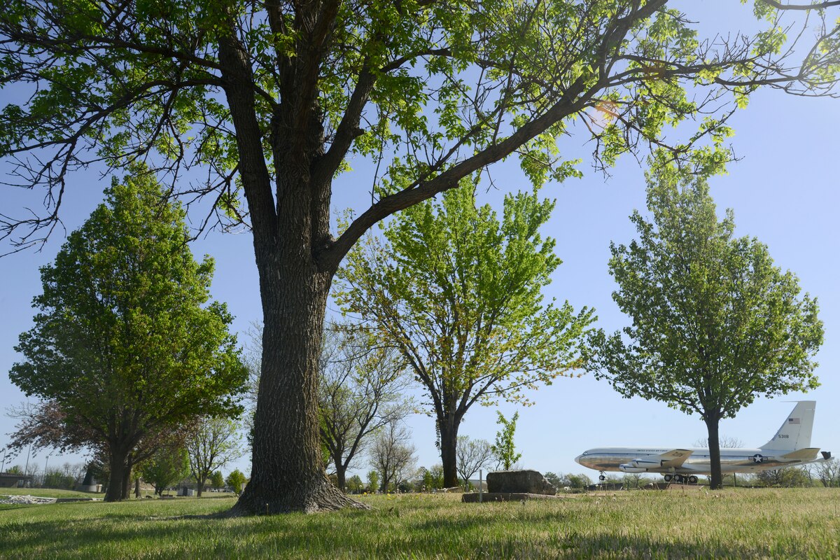 McConnell achieves 20 years as Tree City > McConnell Air Force Base > News