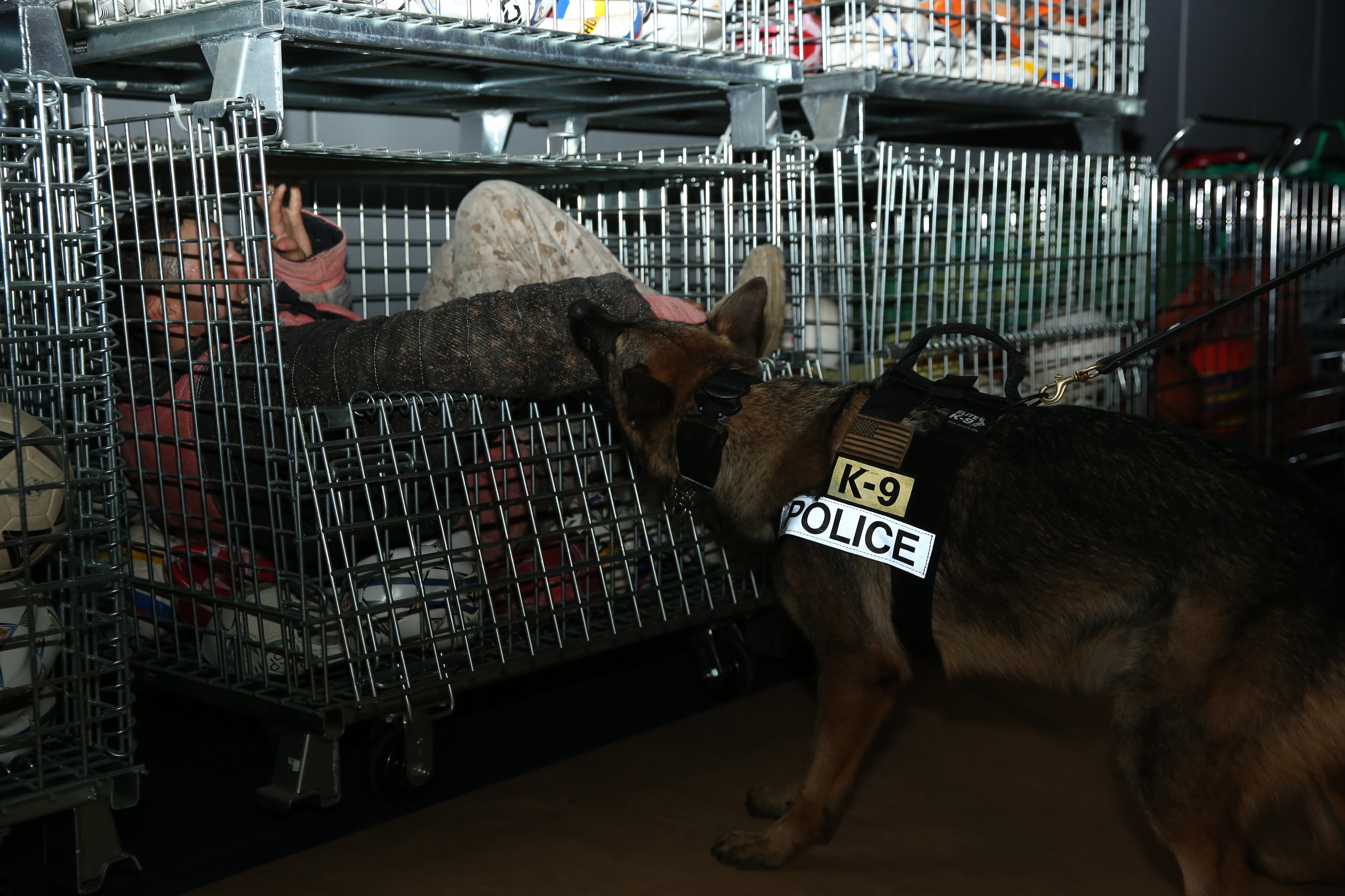 Combat Center K-9 Division conducts building search exercise
