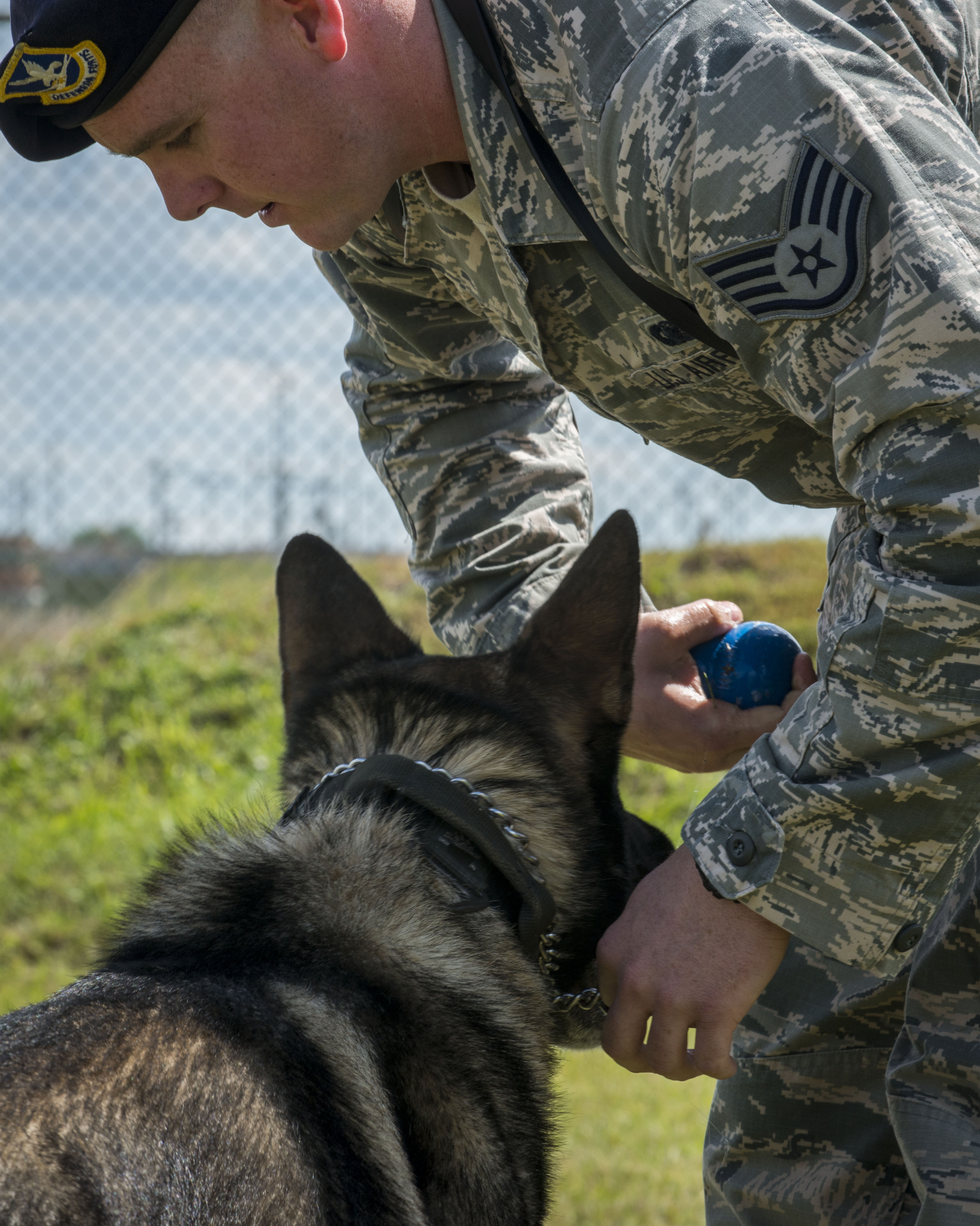 From pup to Alpha > Minot Air Force Base > Article Display