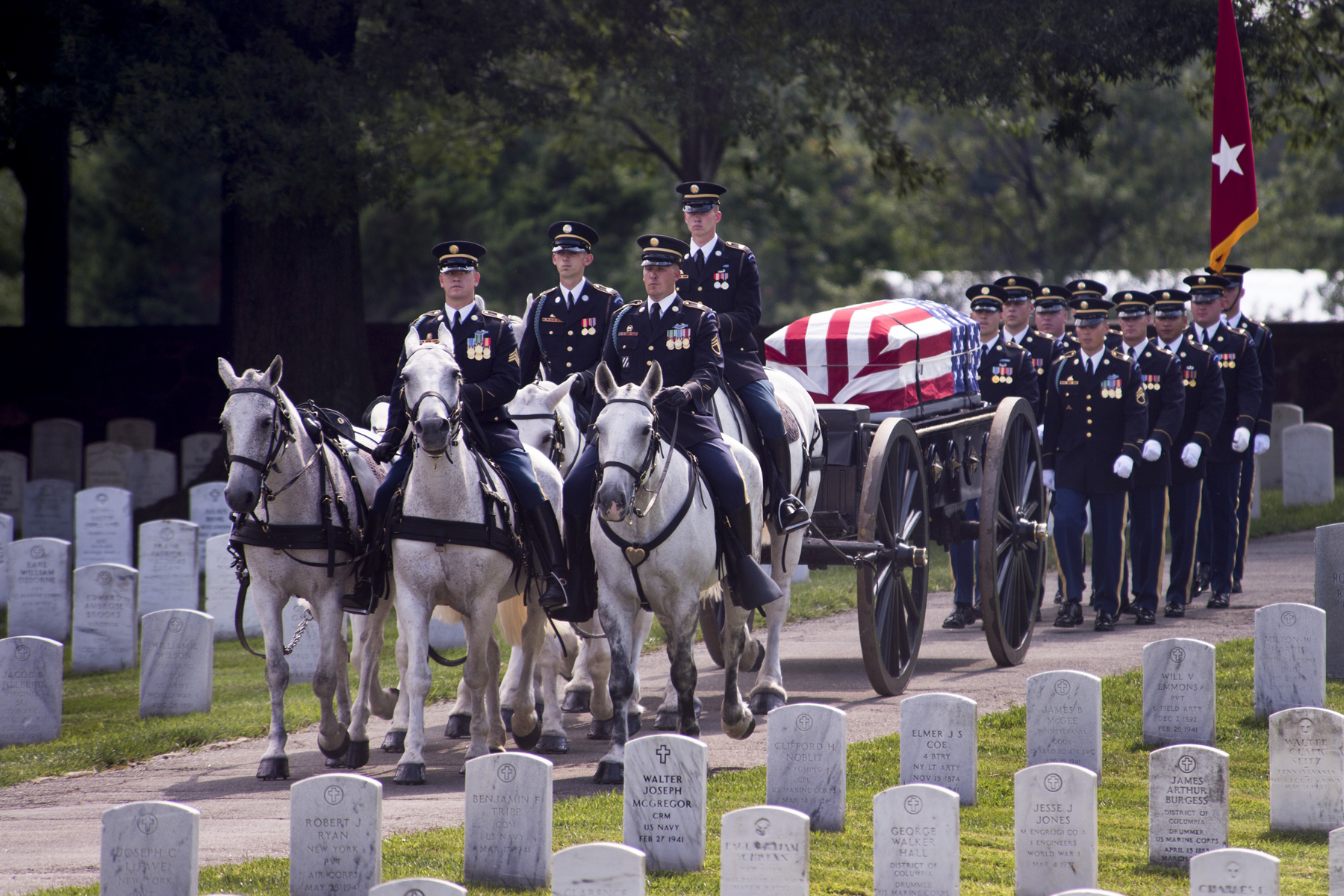 How were war horses trained? : r/history
