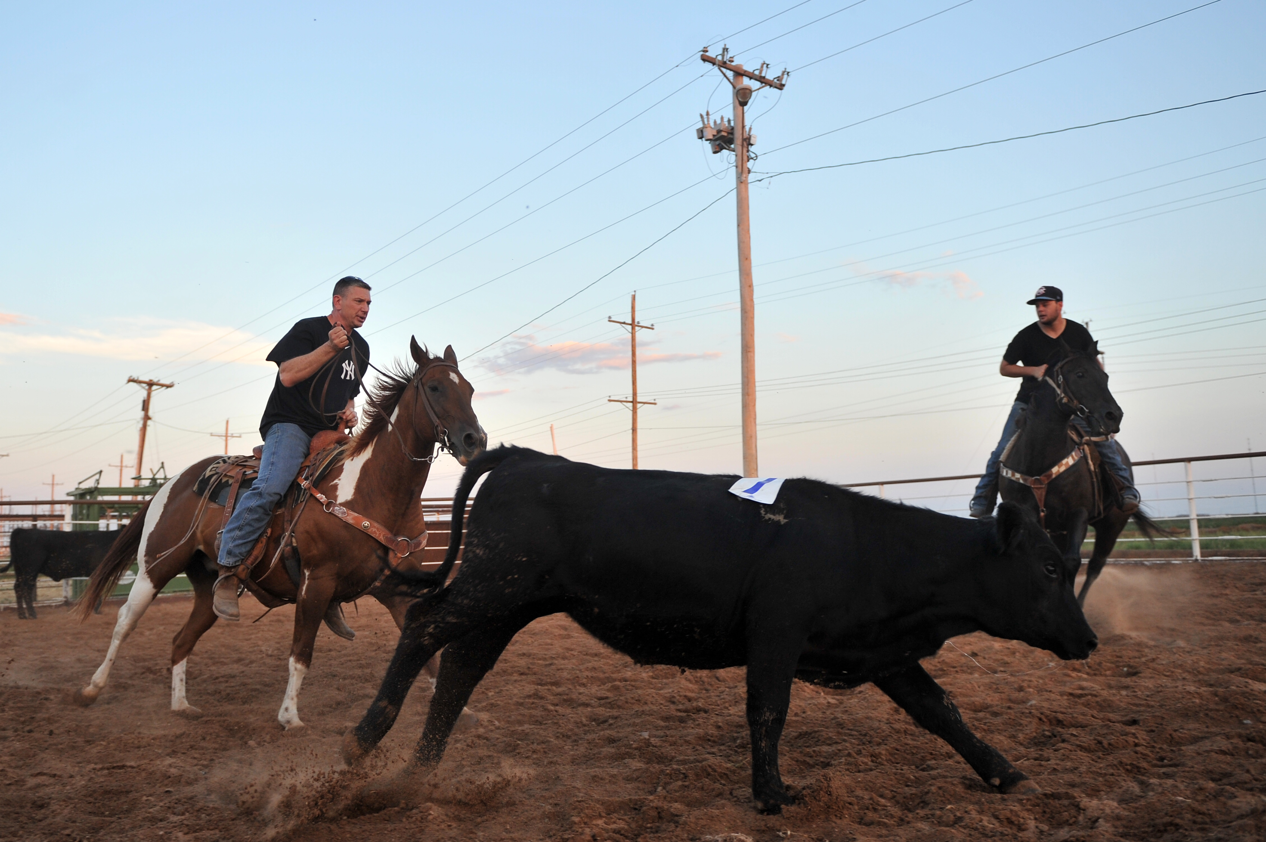 Commander’s Cattle Sorting Competition > Altus Air Force Base > Article ...