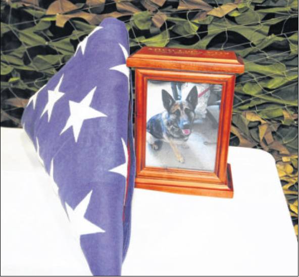 Fallen canine service member memorialized > Wright-Patterson AFB ...