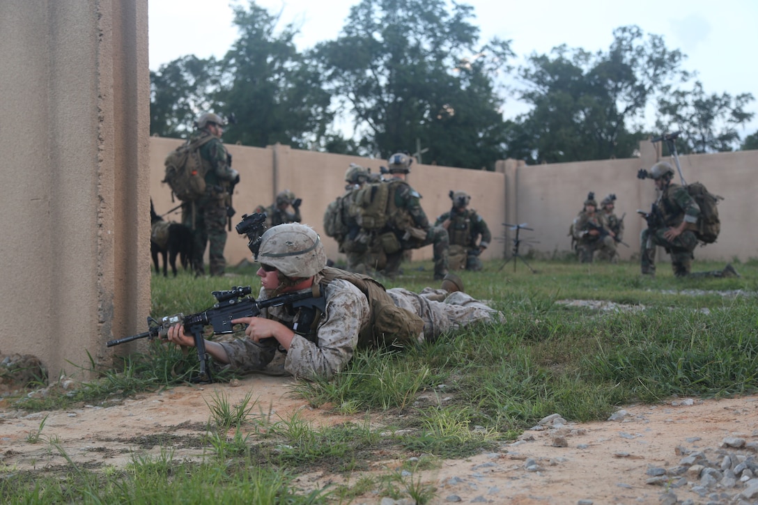 2/8 Marines join forces with MARSOC to enhance partner nation force ...