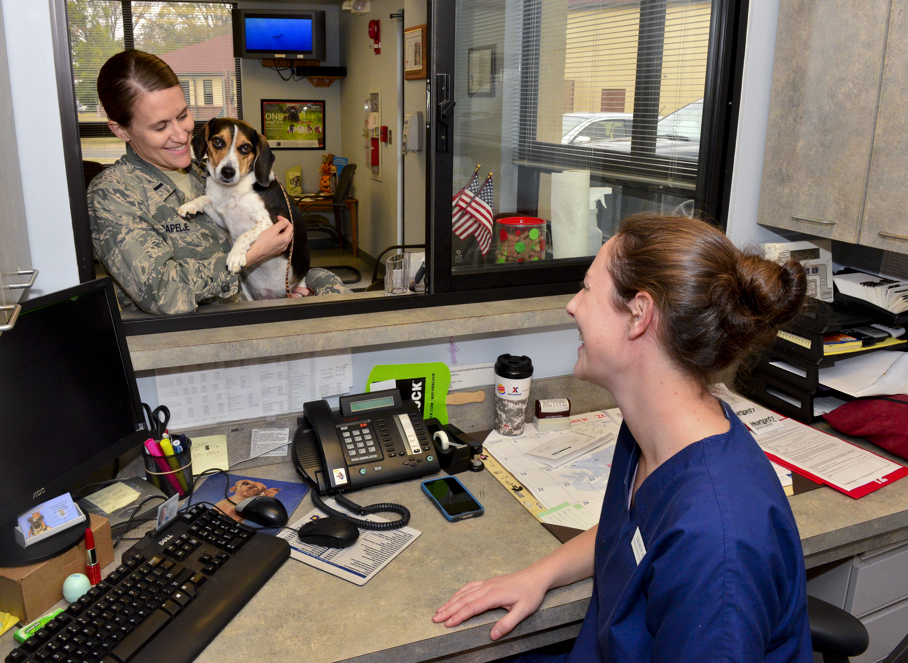 Vet clinic provides care for Barksdale’s pets > Barksdale Air Force ...