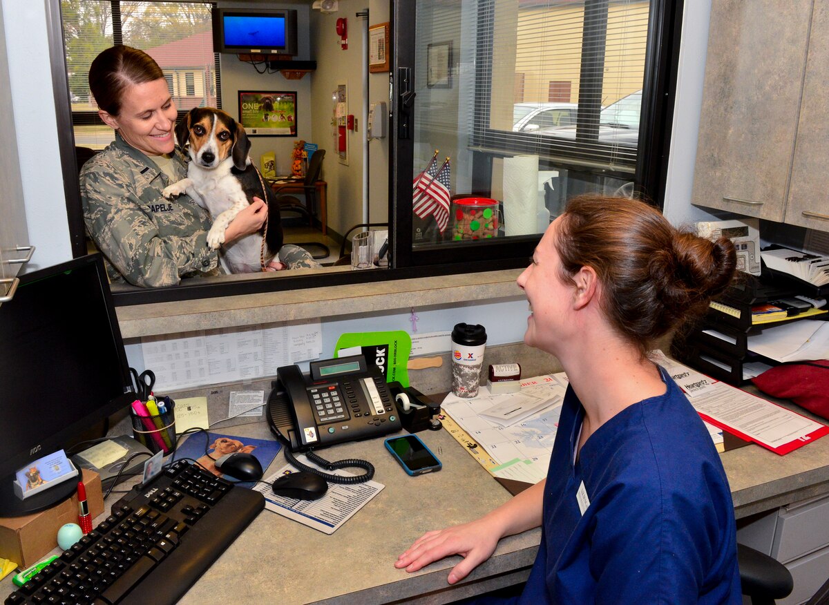 Vet clinic provides care for Barksdale’s pets > Barksdale Air Force ...