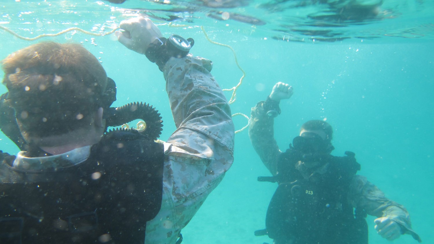 RED REEF Live Free, or Dive Hard