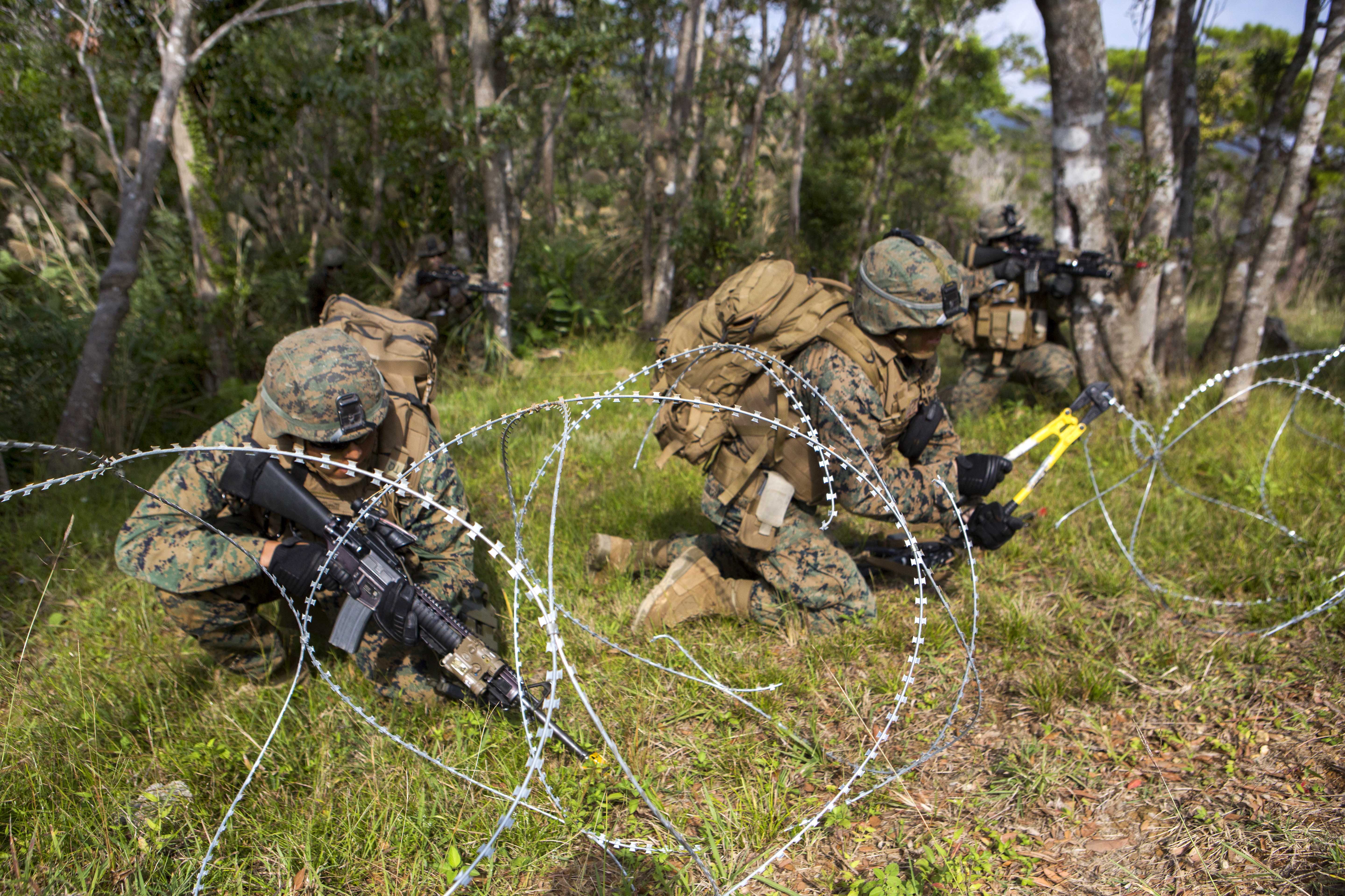 U.S Marines cut an opening in an obstacle made out of concertina wire ...