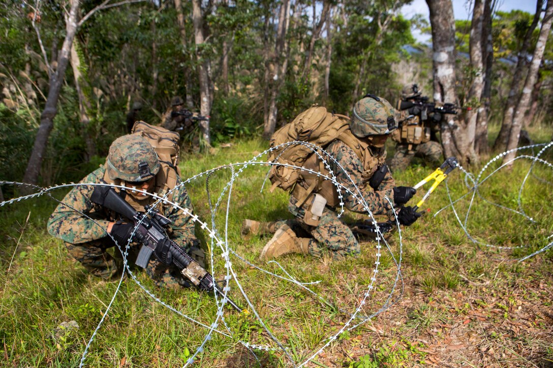 U.S Marines cut an opening in an obstacle made out of concertina wire ...