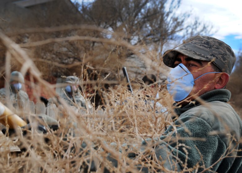 Airmen combat tumbleweed invasion > Cannon Air Force Base > Article Display