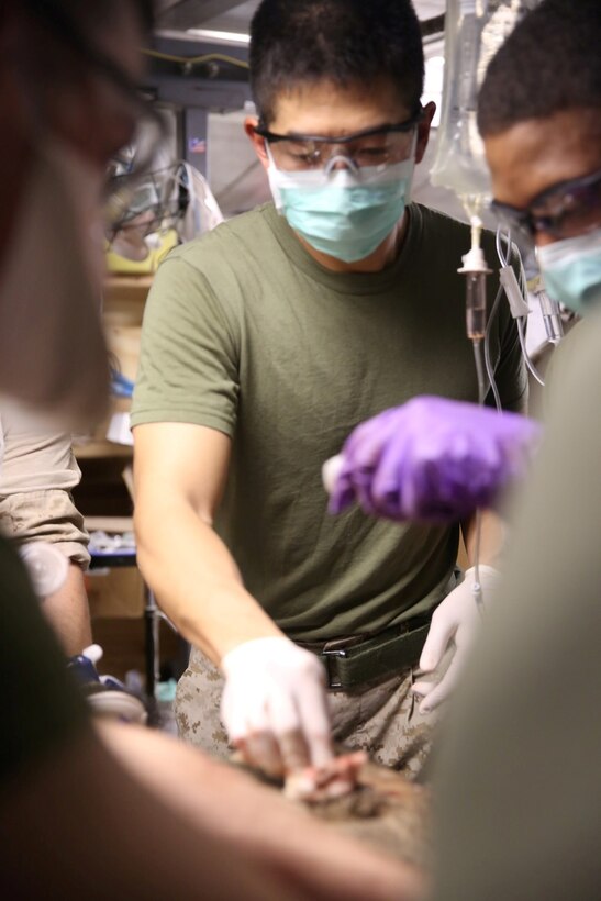 3/7 Battalion surgeon awarded for lifesaving medical care