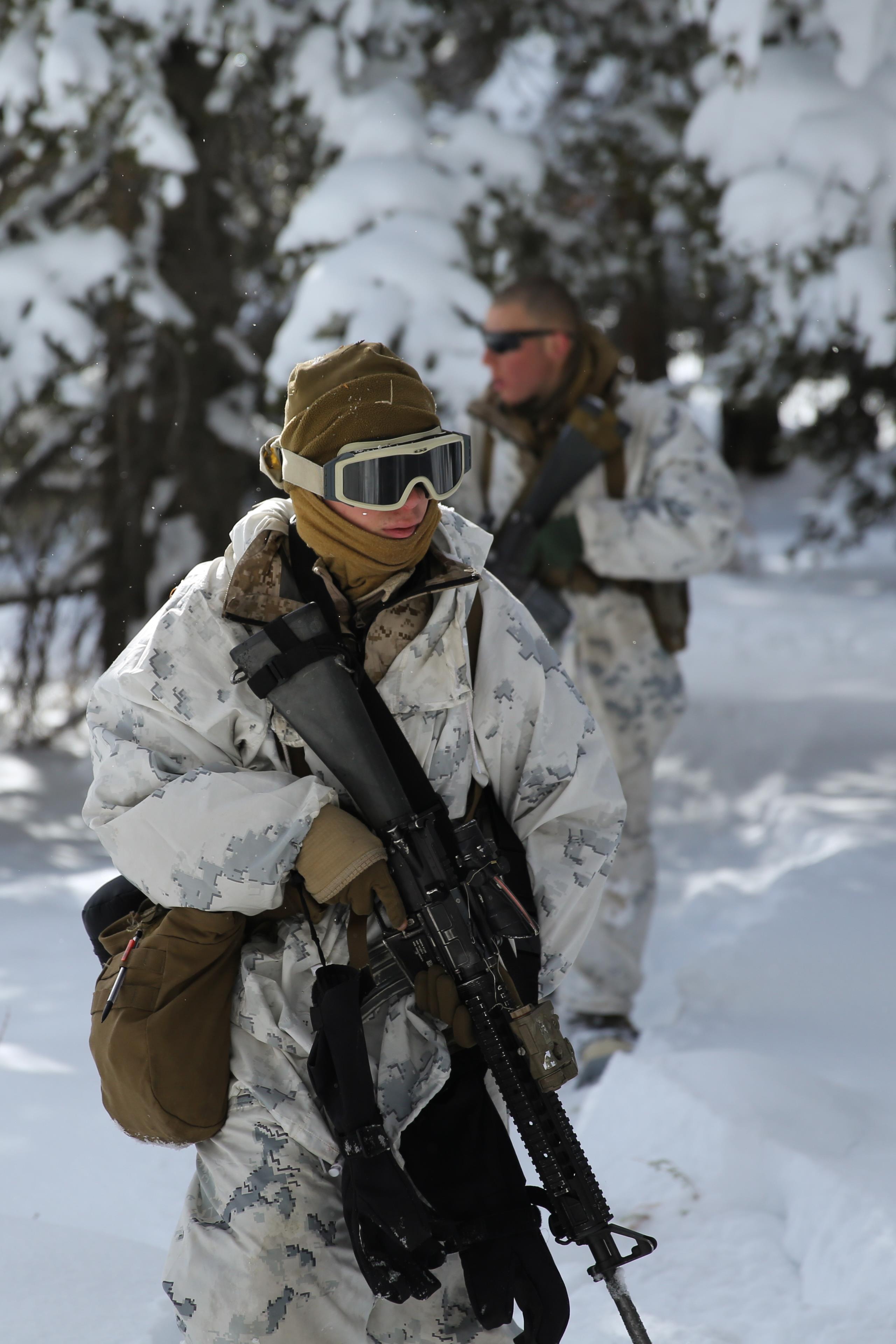 Warlords ‘fight’ in winter environment > 2nd Marine Regiment > 2nd ...