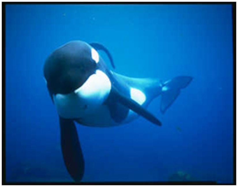 The PCASE Program > Engineer Research and Development Center > Fact ...