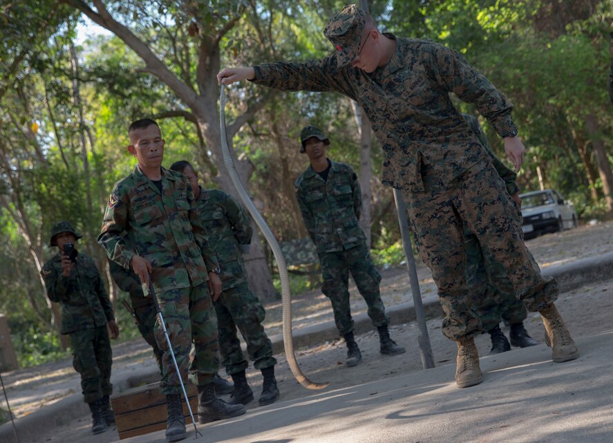 Marines Learn to Survive in the Jungle > United States Marine Corps ...