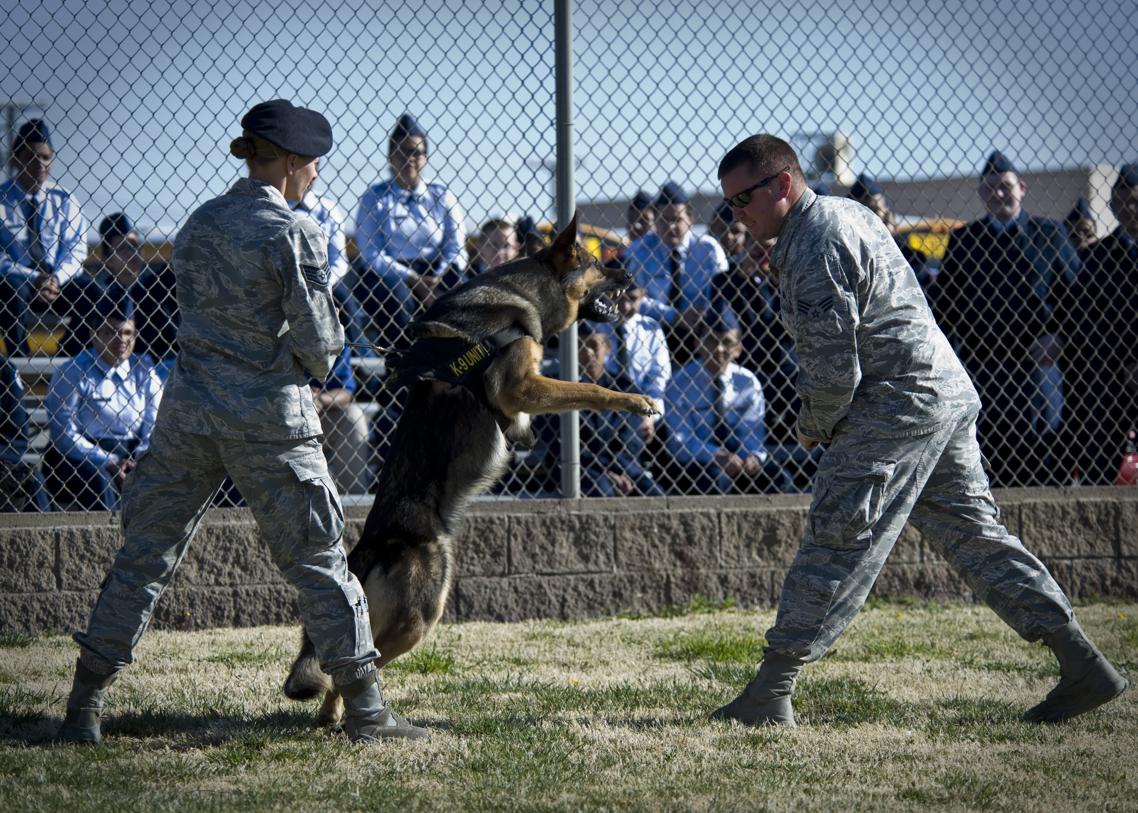 99th SFS wins ACC Outstanding Large Security Forces Unit award > Nellis ...