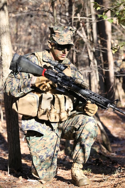 Marines patrol the woods of Quantico > Marine Corps Base Quantico ...
