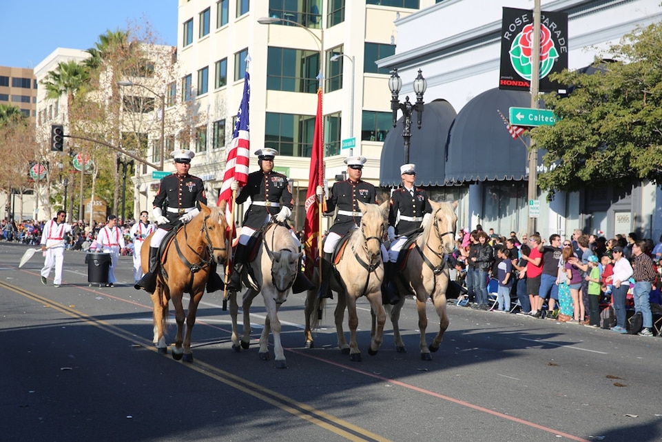 Infantryman to stableman > United States Marine Corps Flagship > News ...
