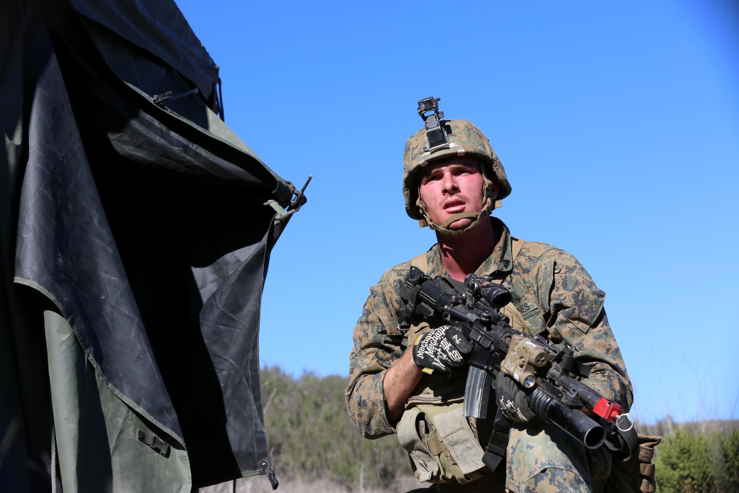 SOTG makes 3/5 better asset for 31st MEU