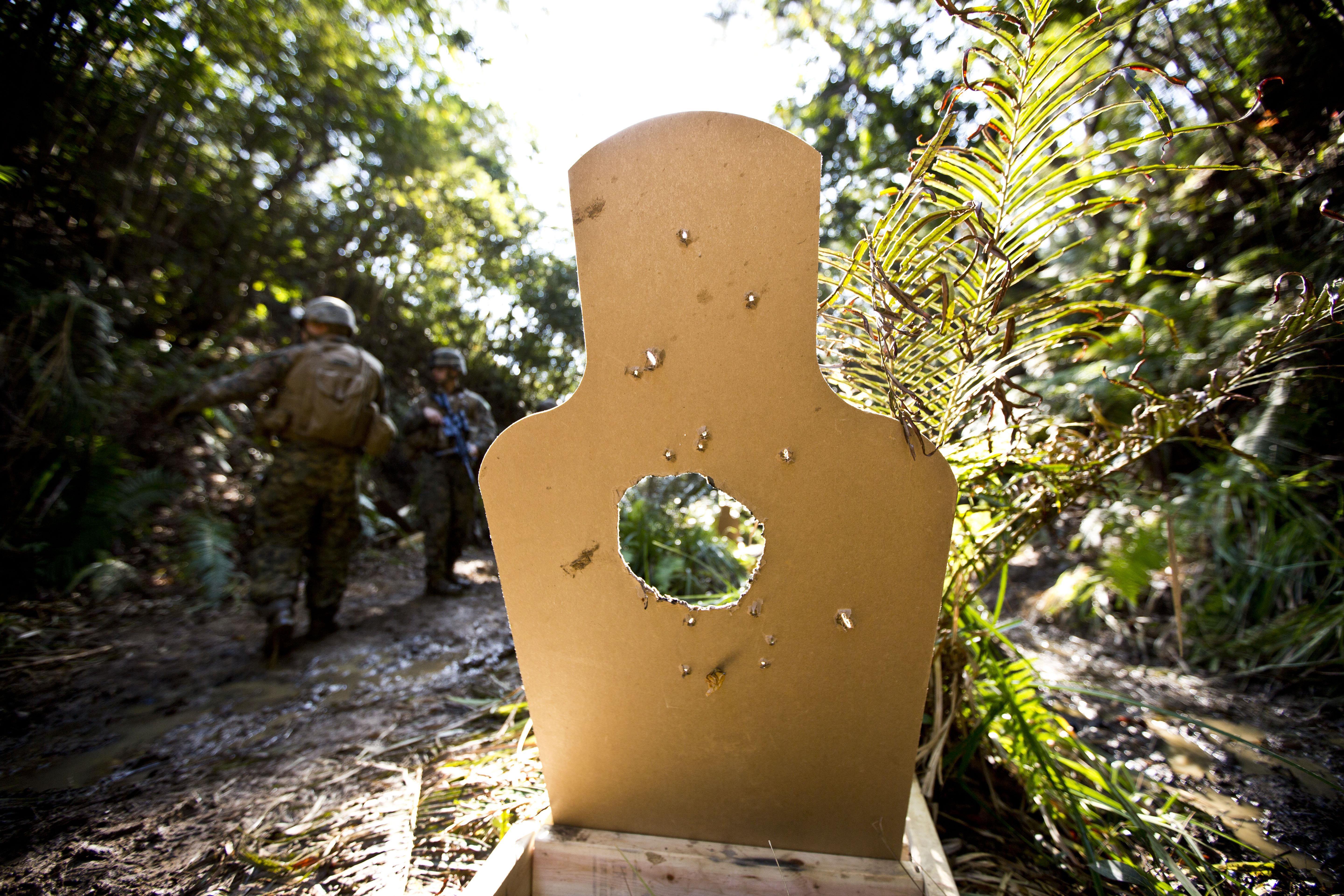 Rumble in jungle: 31st MEU Marines engage targets in Okinawan ...