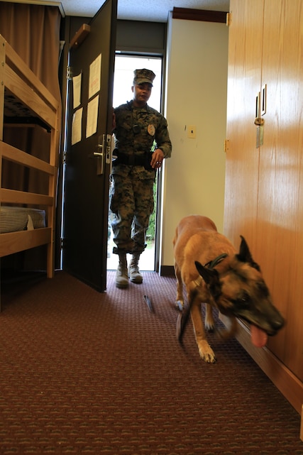 A Marine’s best friend > Marine Corps Air Station Iwakuni, Japan > Article