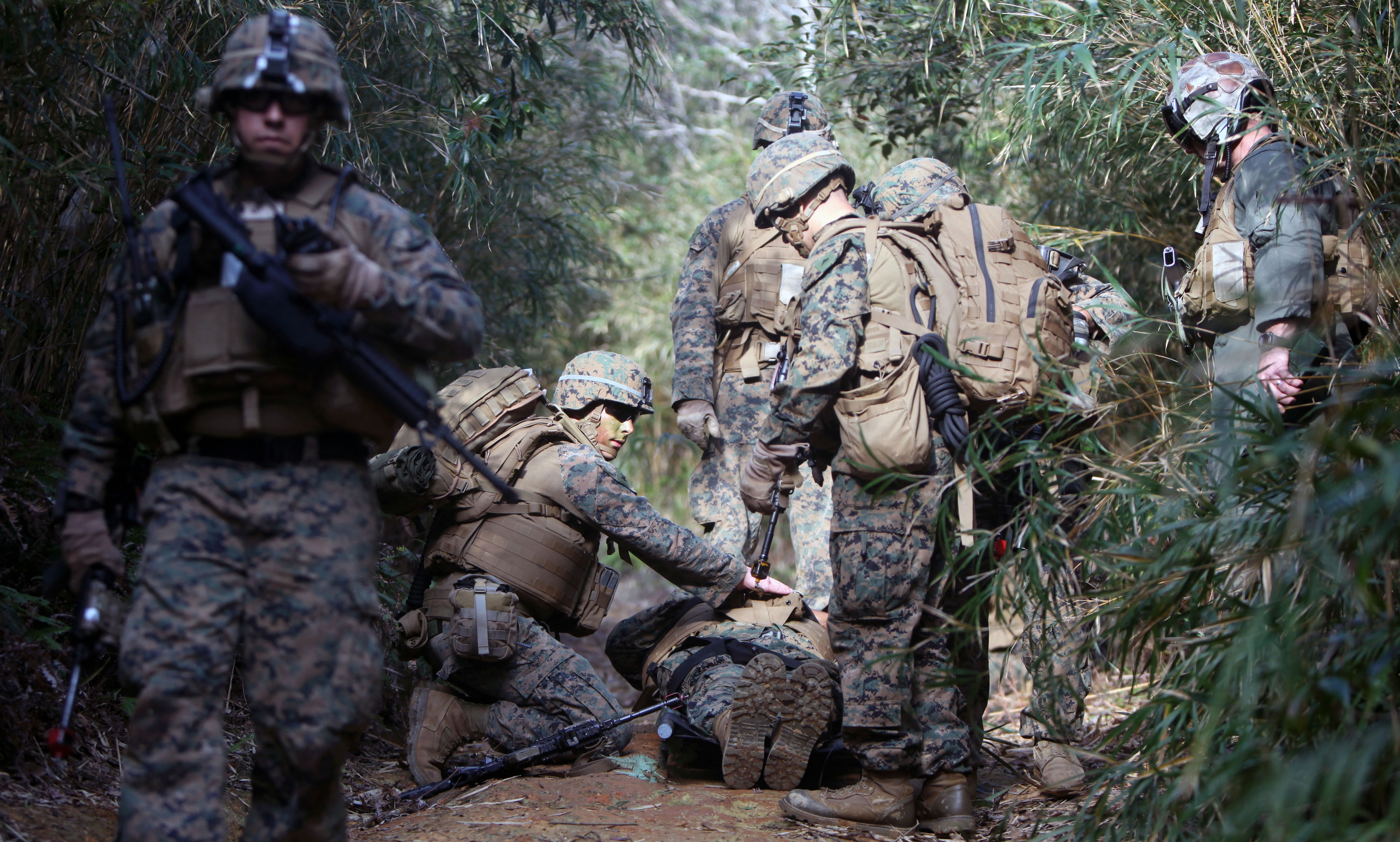 Marines to the rescue