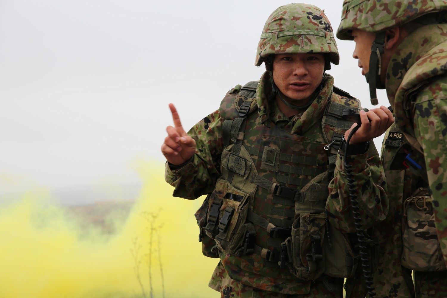 1st Air Naval Gunfire Liaison Company conducts fire-support exercises ...