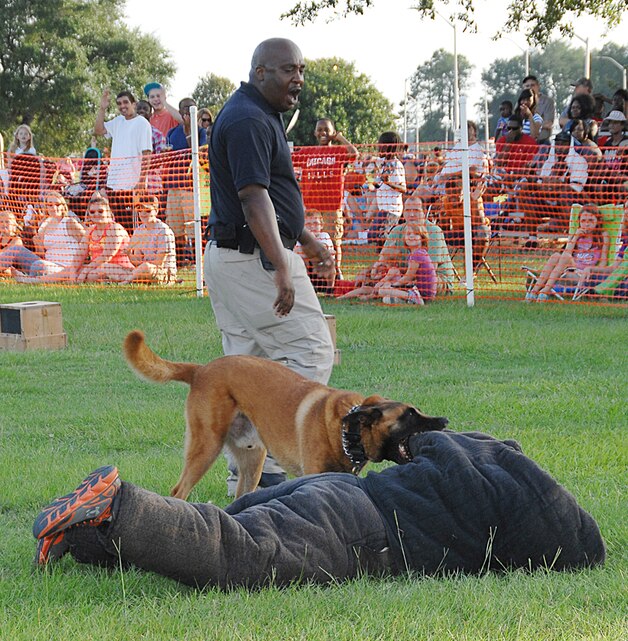 K-9 shows off skills in demonstration > United States Marine Corps ...