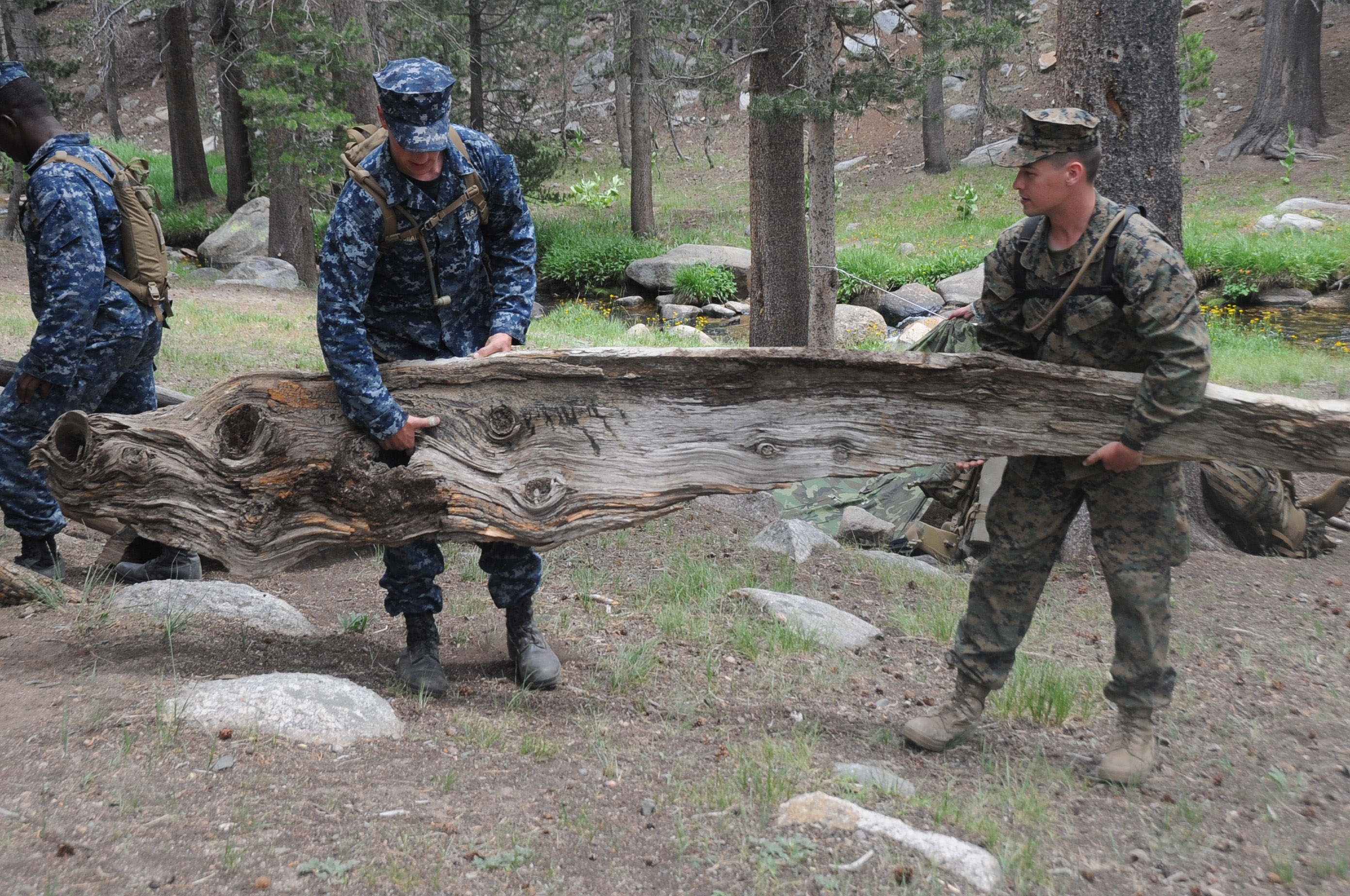 Midshipmen ascend to new heights at Mountain Warfare Training Center