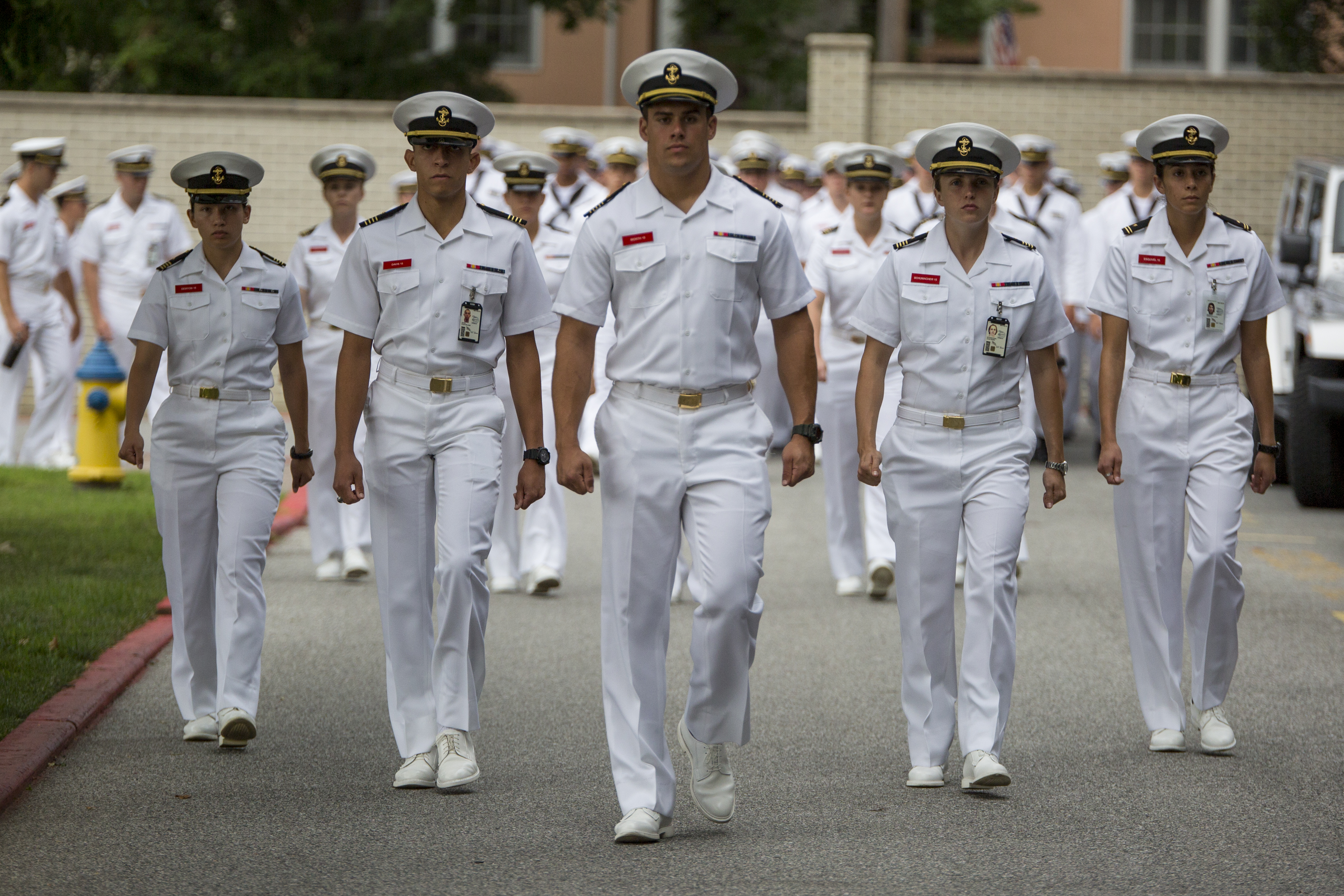 Explore Photos - Search midshipman