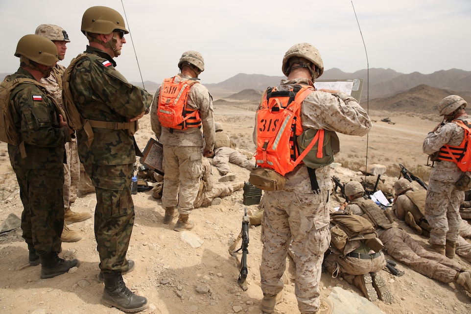 Polish Armed Forces observe Marine Corps’ fire support team > United ...