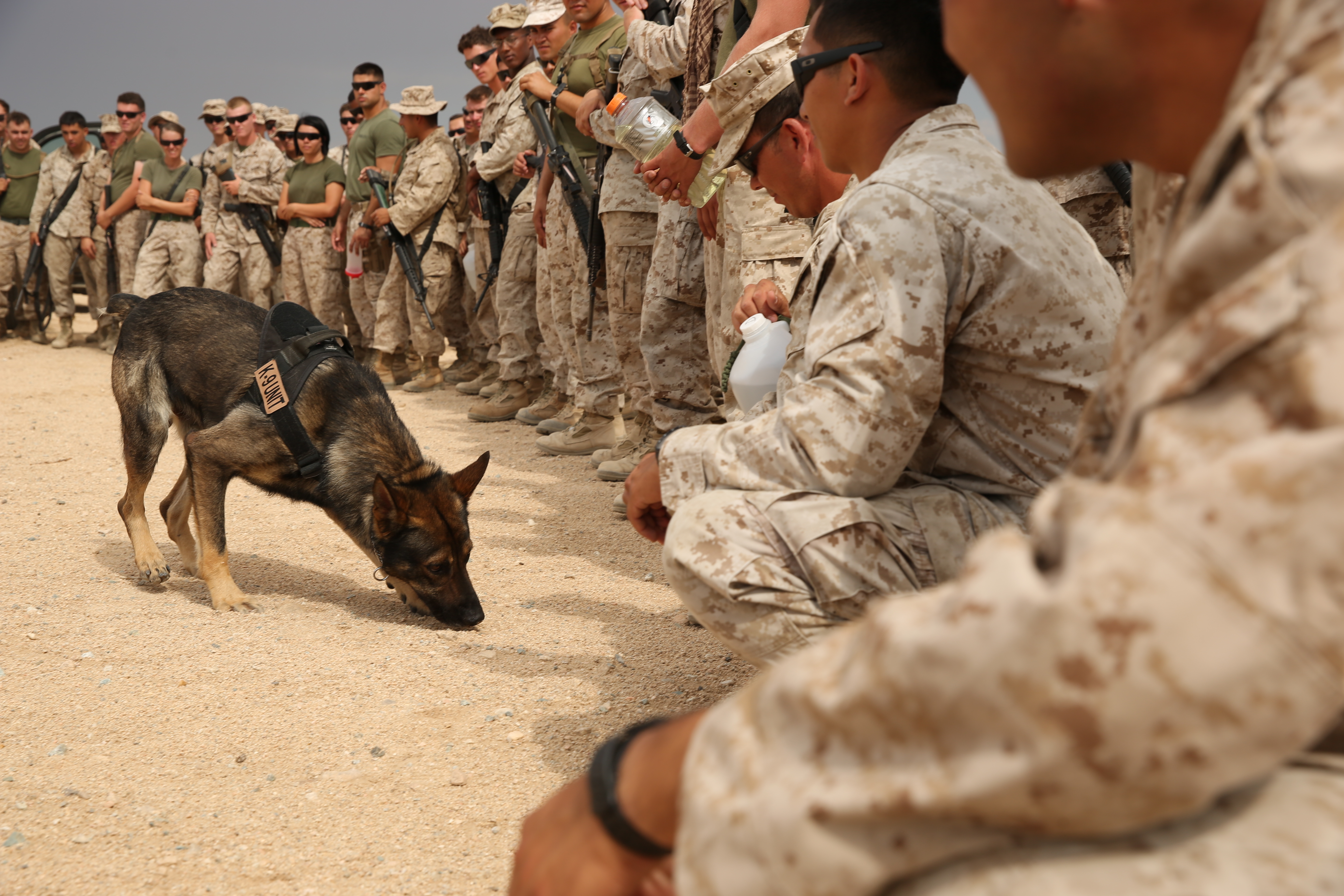 1st LEB conducts security classes alongside K-9 Division during ITX