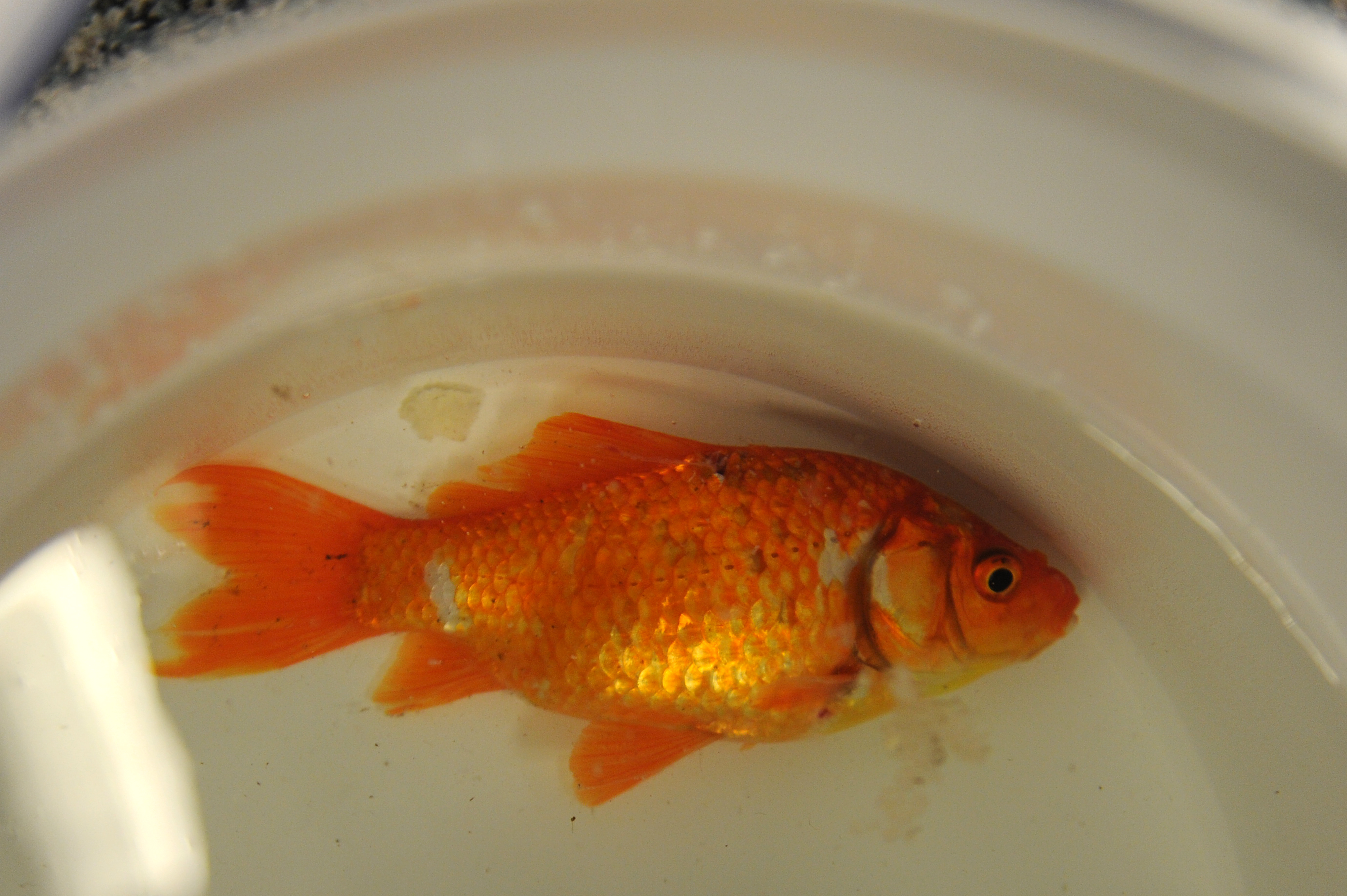 Fishin' on the flightline > Air Mobility Command > Article Display