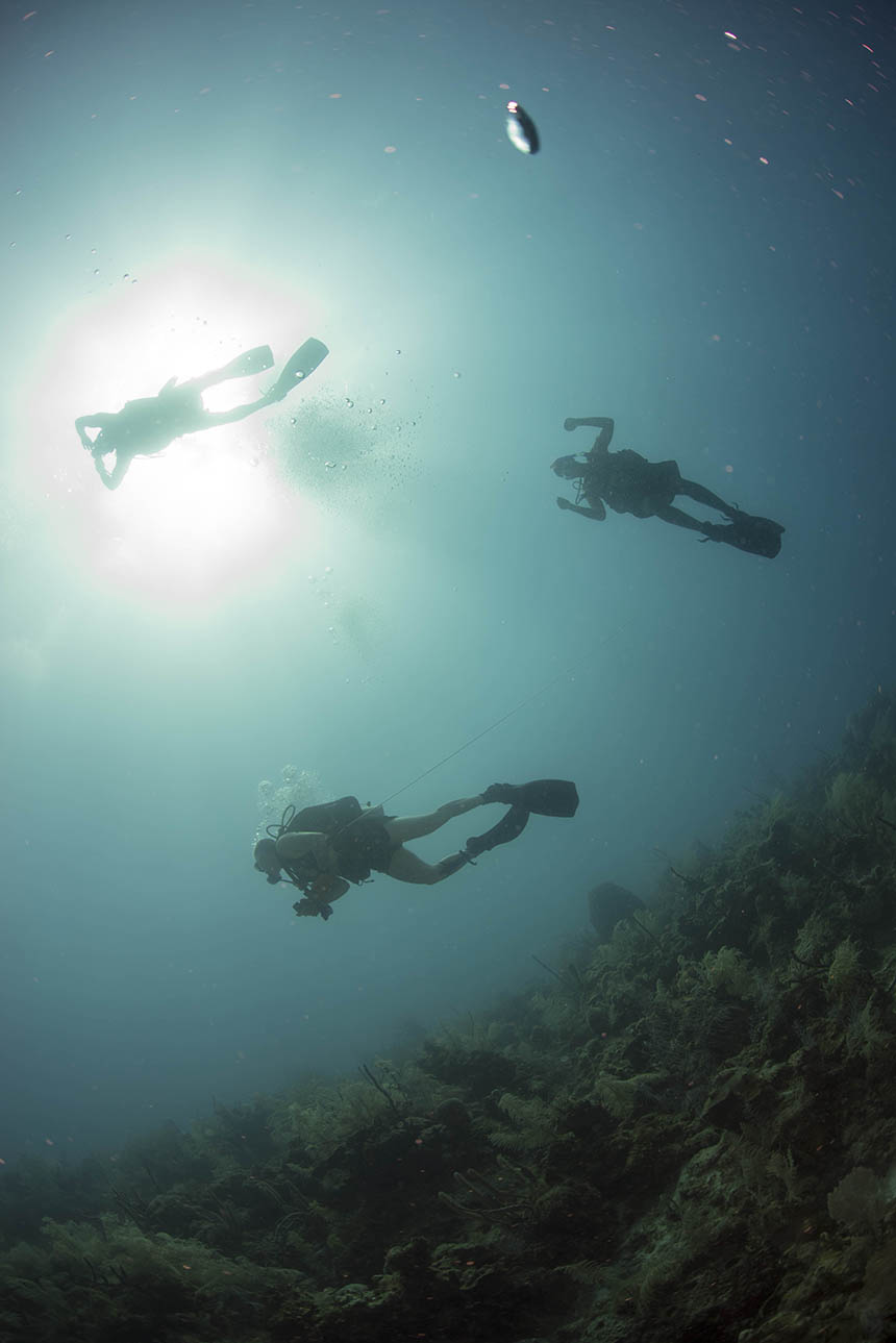 Diving the World Over > U.S. Navy - All Hands > Stories