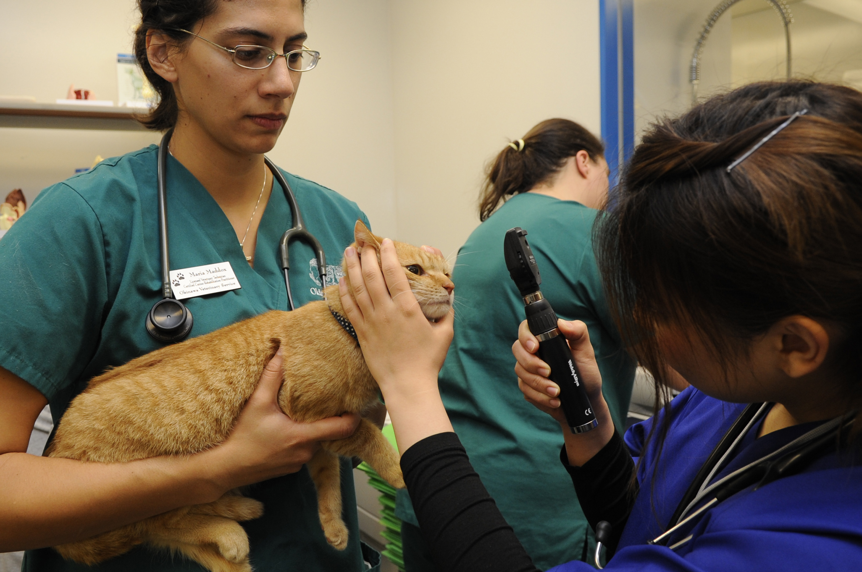 Okinawa Veterinary Treatment Facility trains local intern