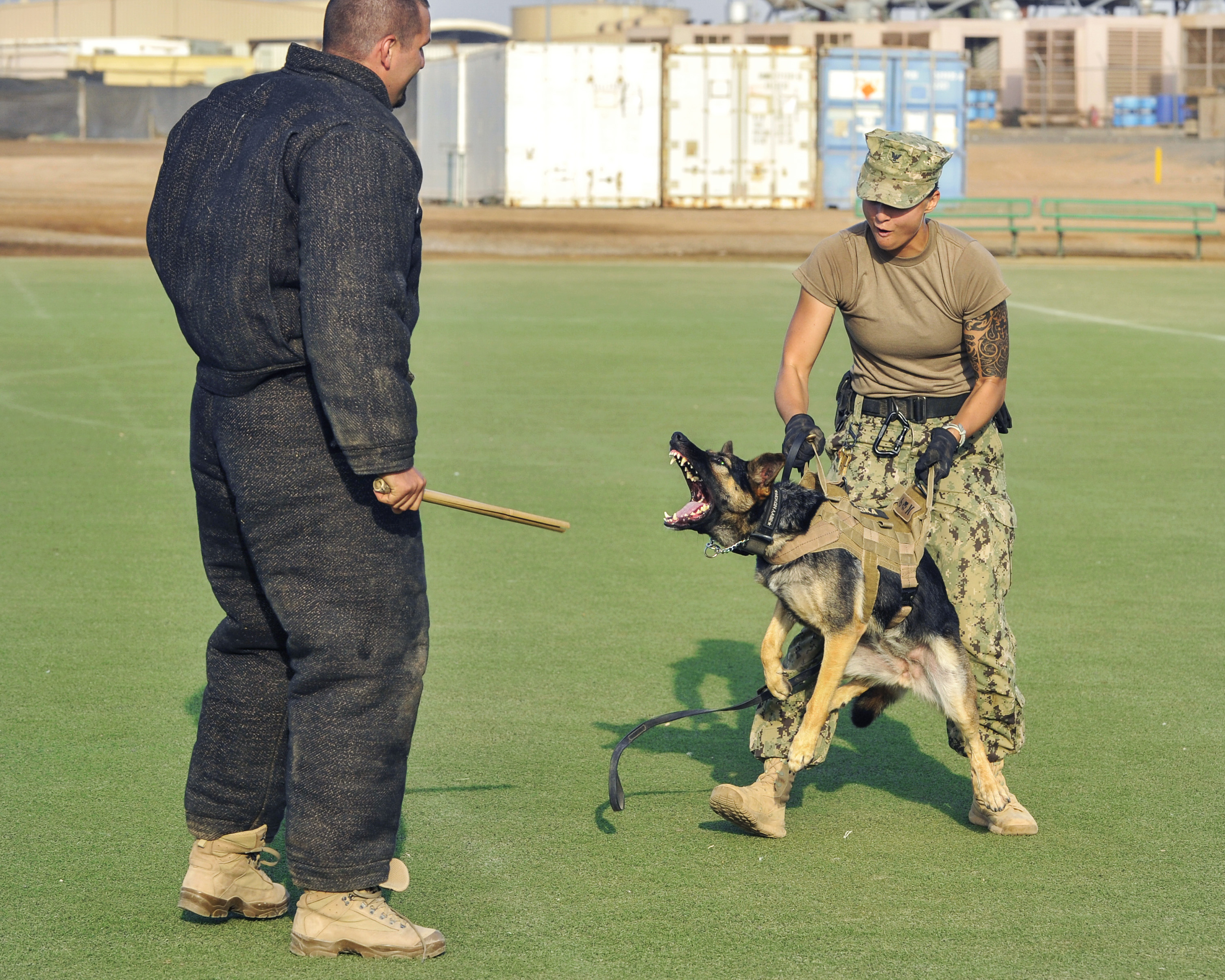 U.S. Navy Petty Officer 3rd Class Ashly Lester, right, pulls Leska away ...