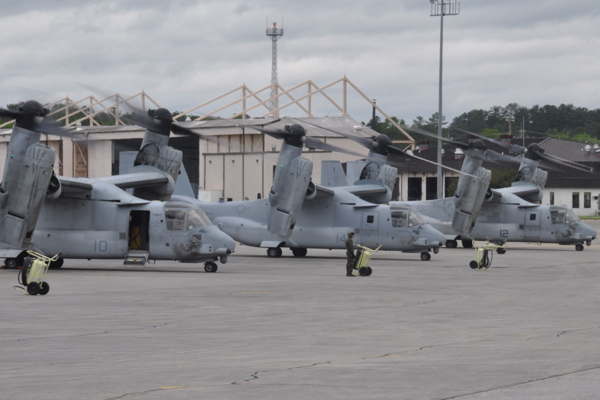 A joint affair > Dobbins Air Reserve Base > Article Display