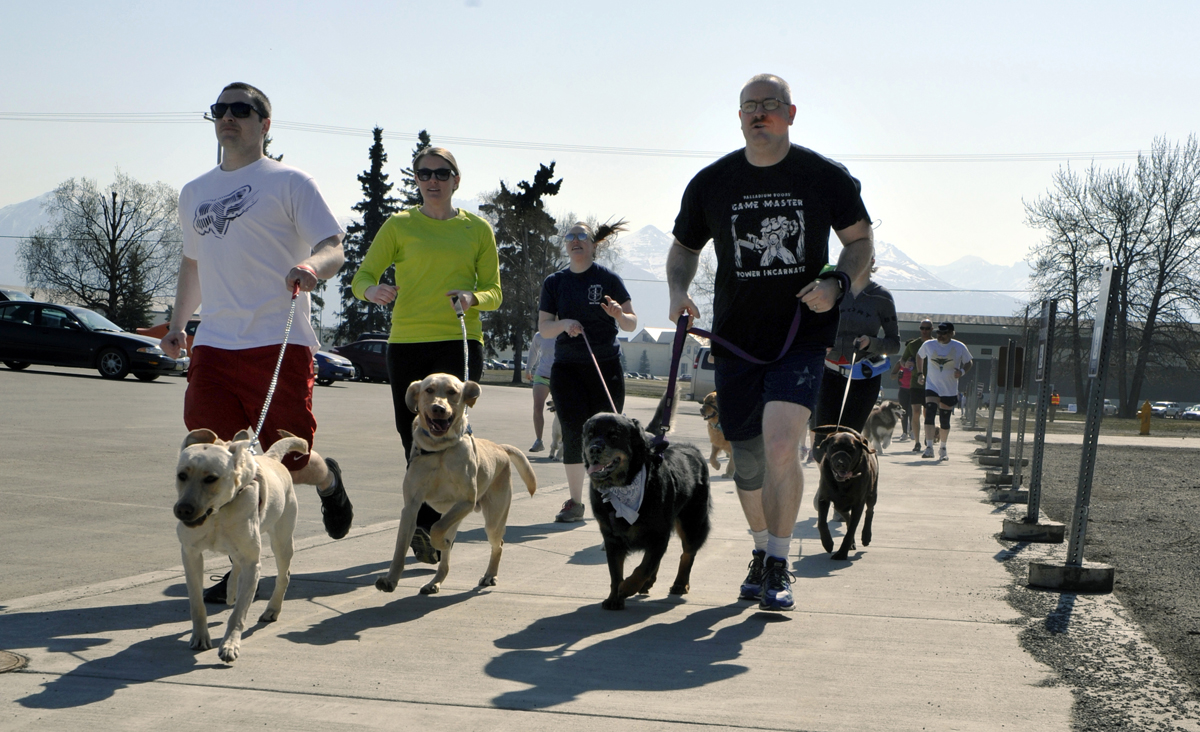 JBER-Elmendorf Fitness Center hosts annual Pet Fun Run > Joint Base ...