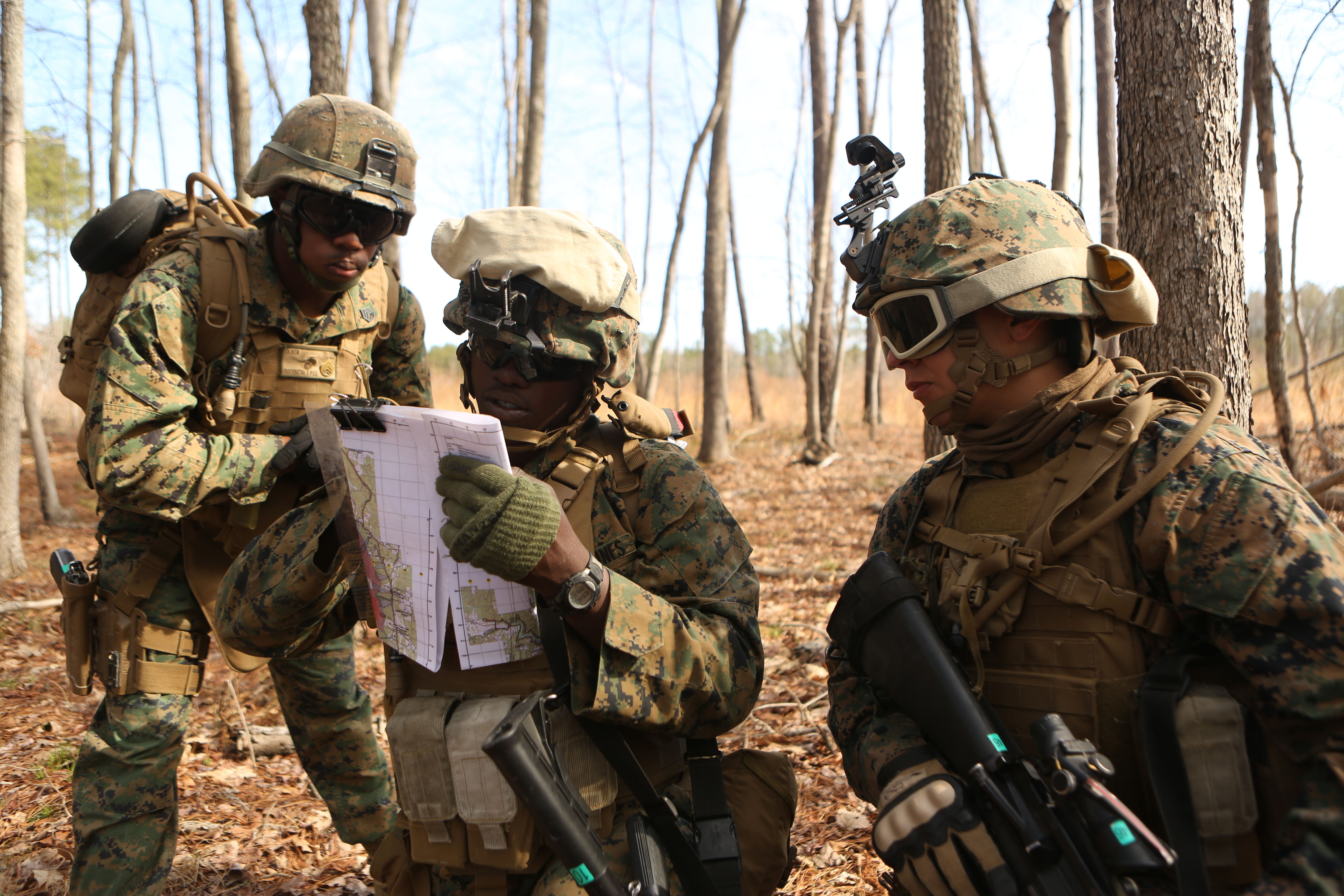 Reawakening the rifleman