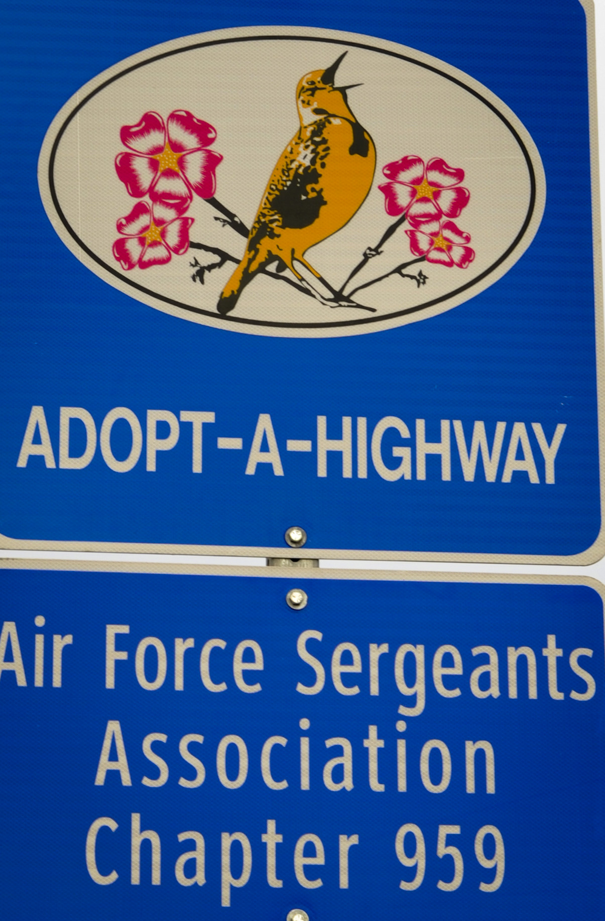 AFSA highway 83 bypass beautification