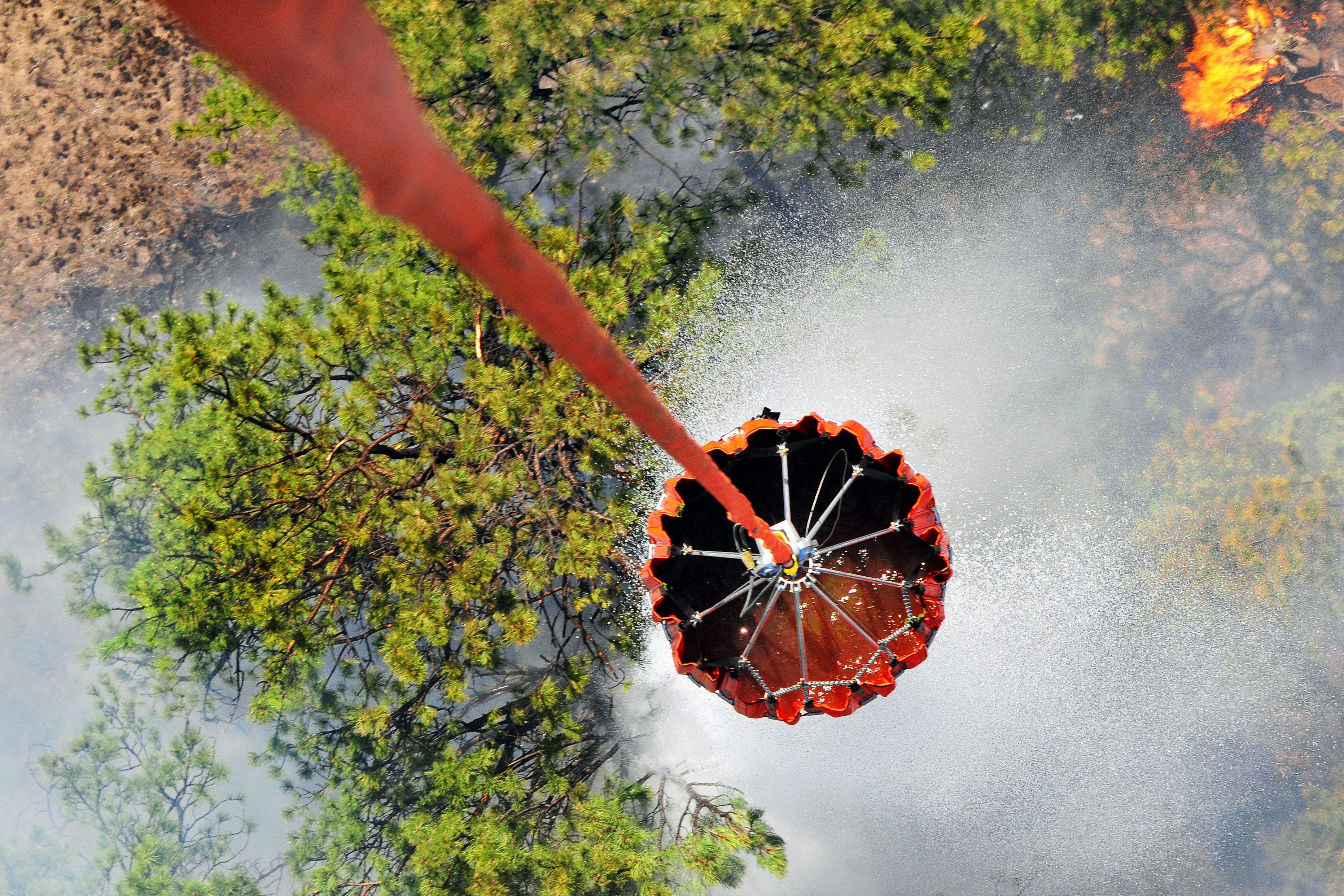 BAMBI BUCKET
