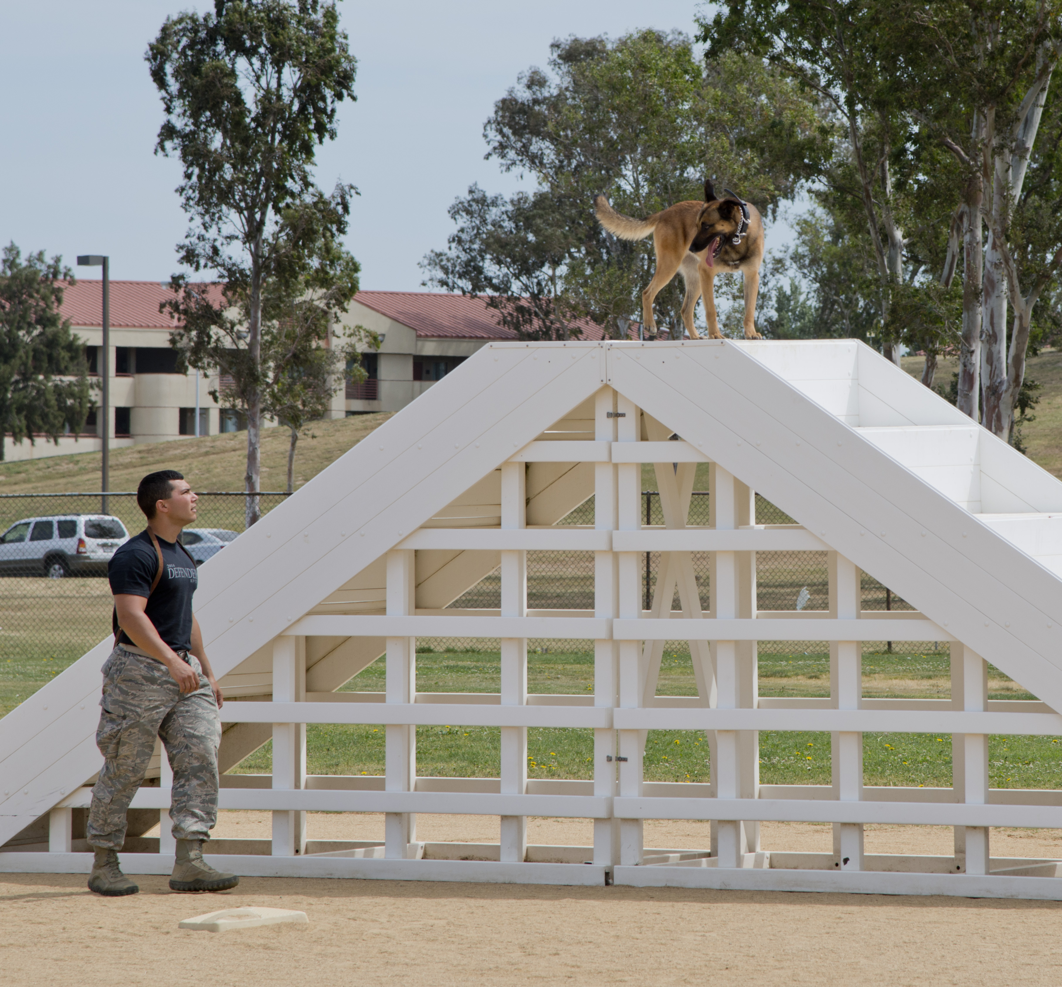 Travis hosts historic WSPCA trial > Travis Air Force Base > Display