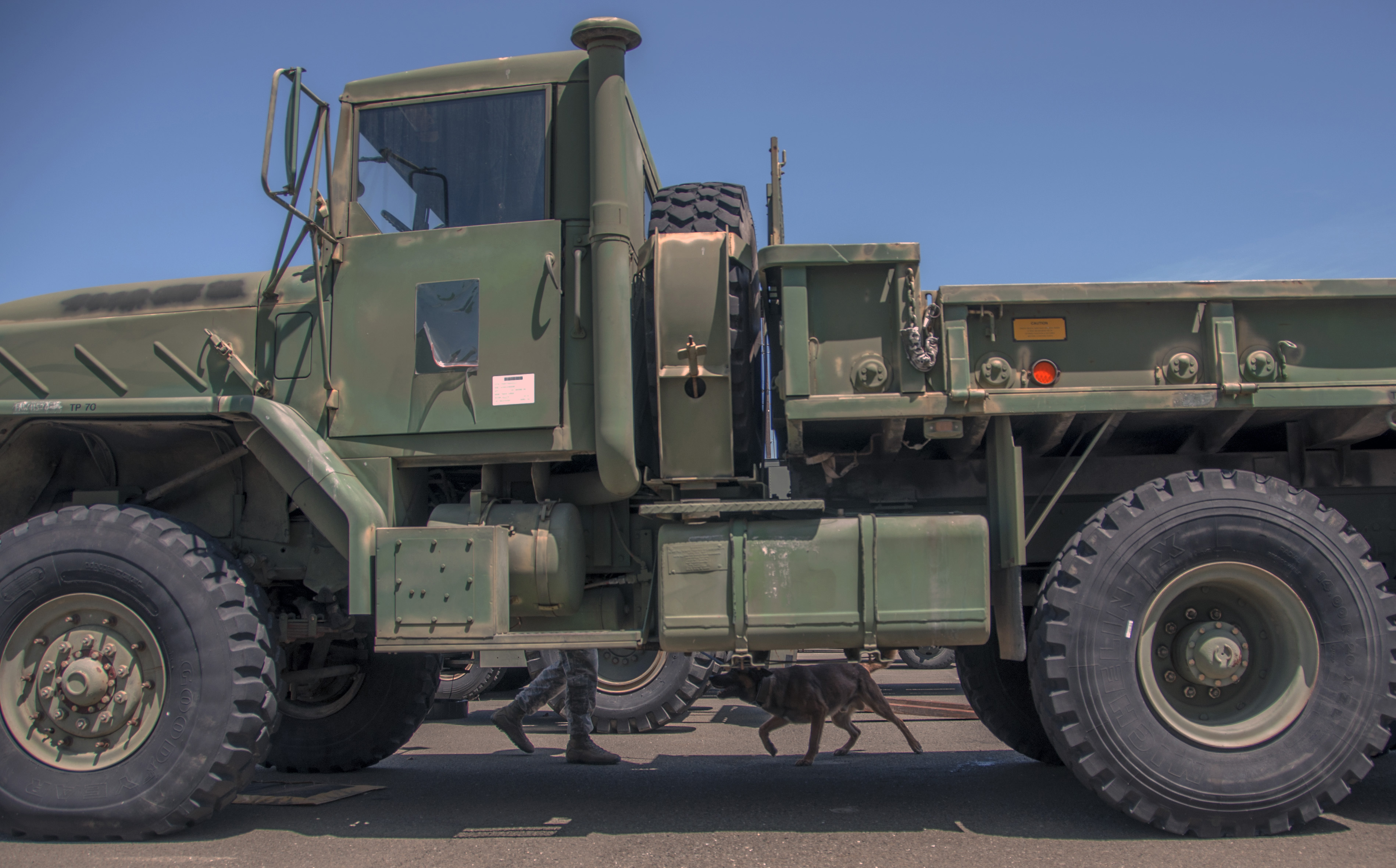 Travis hosts historic WSPCA trial > Travis Air Force Base > Display